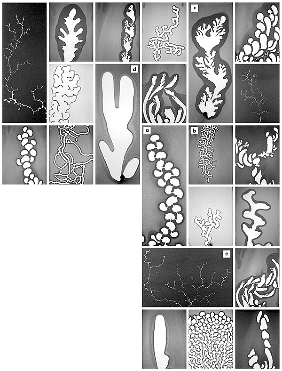 Pattern palette for complex fluid flows - Physics Today