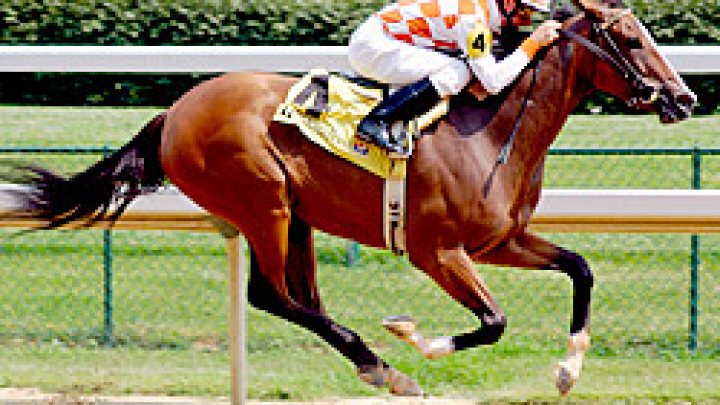 The racehorse's debt to its jockey - Physics Today