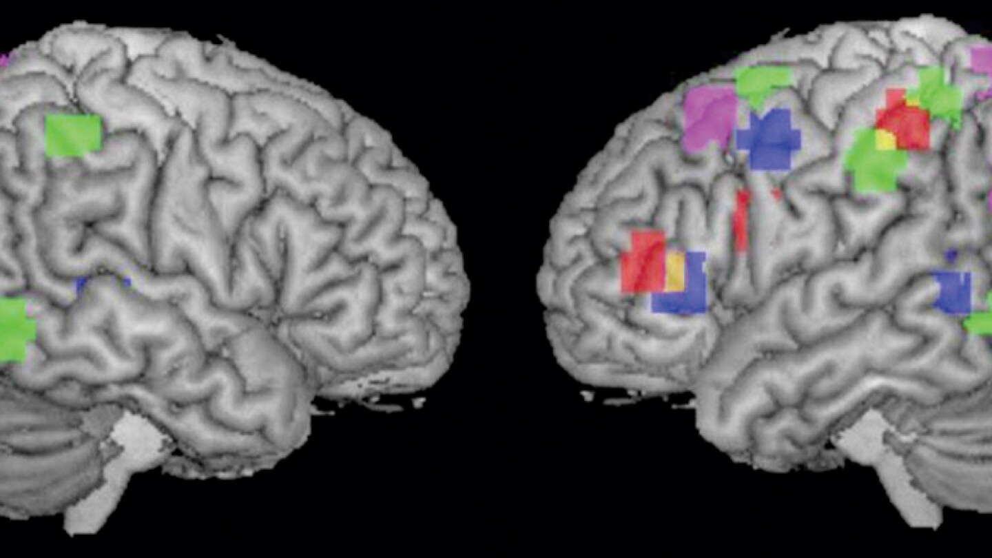 Repurposing an ancient brain for modern physics - Physics Today