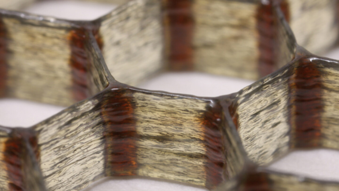 3D printing, inspired by wood - Physics Today