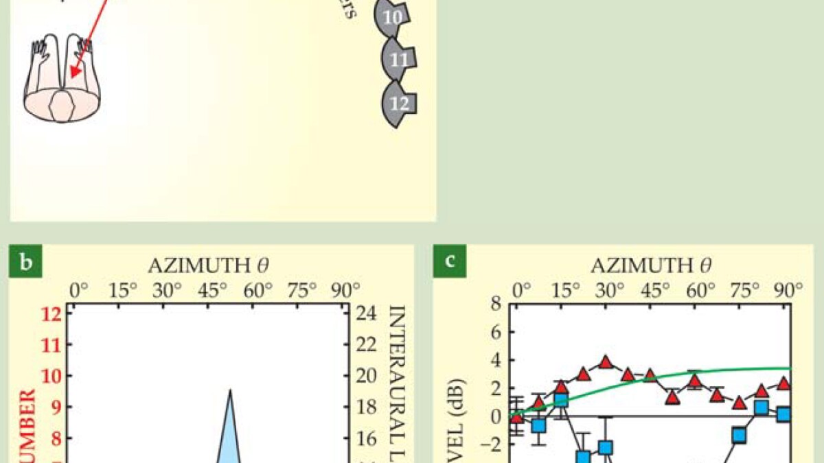 sound diffraction calculator