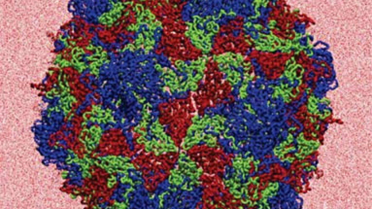 Modeling a virus atom by atom - Physics Today