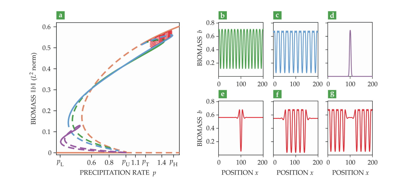 Vegetation pattern formation: The mechanisms behind the forms - Physics ...