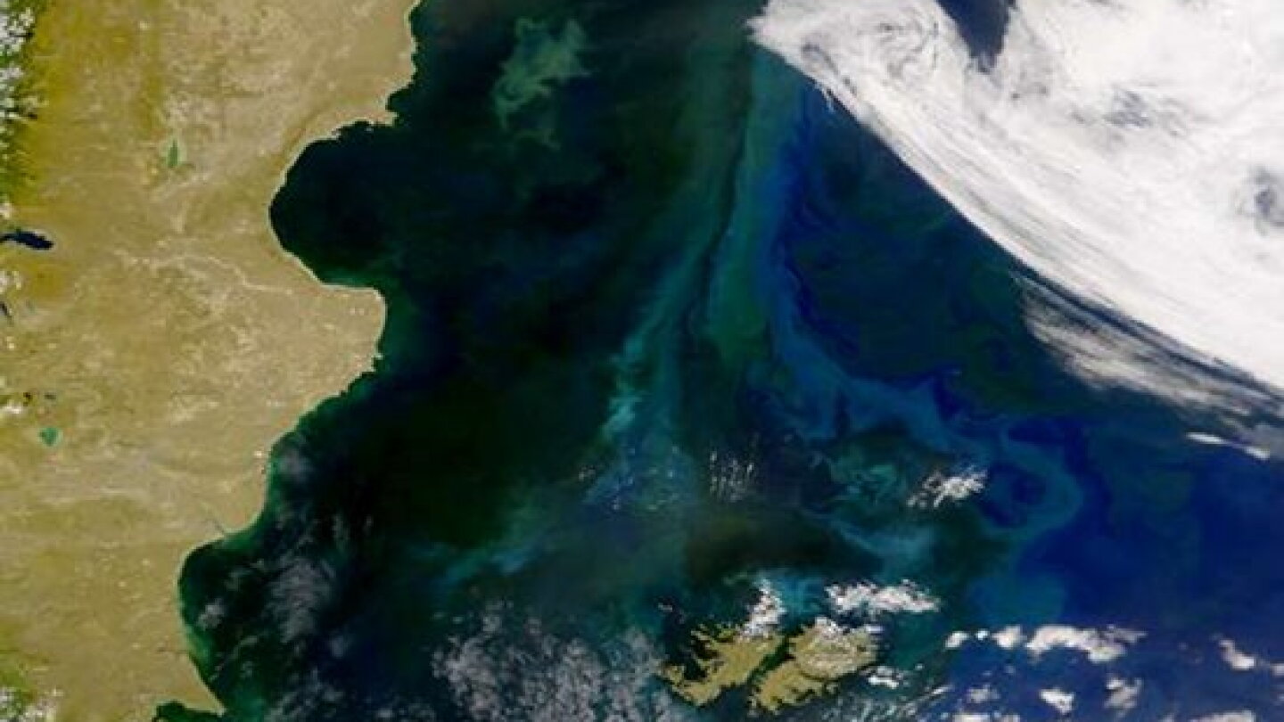 Ocean greenery under warming stress - Physics Today
