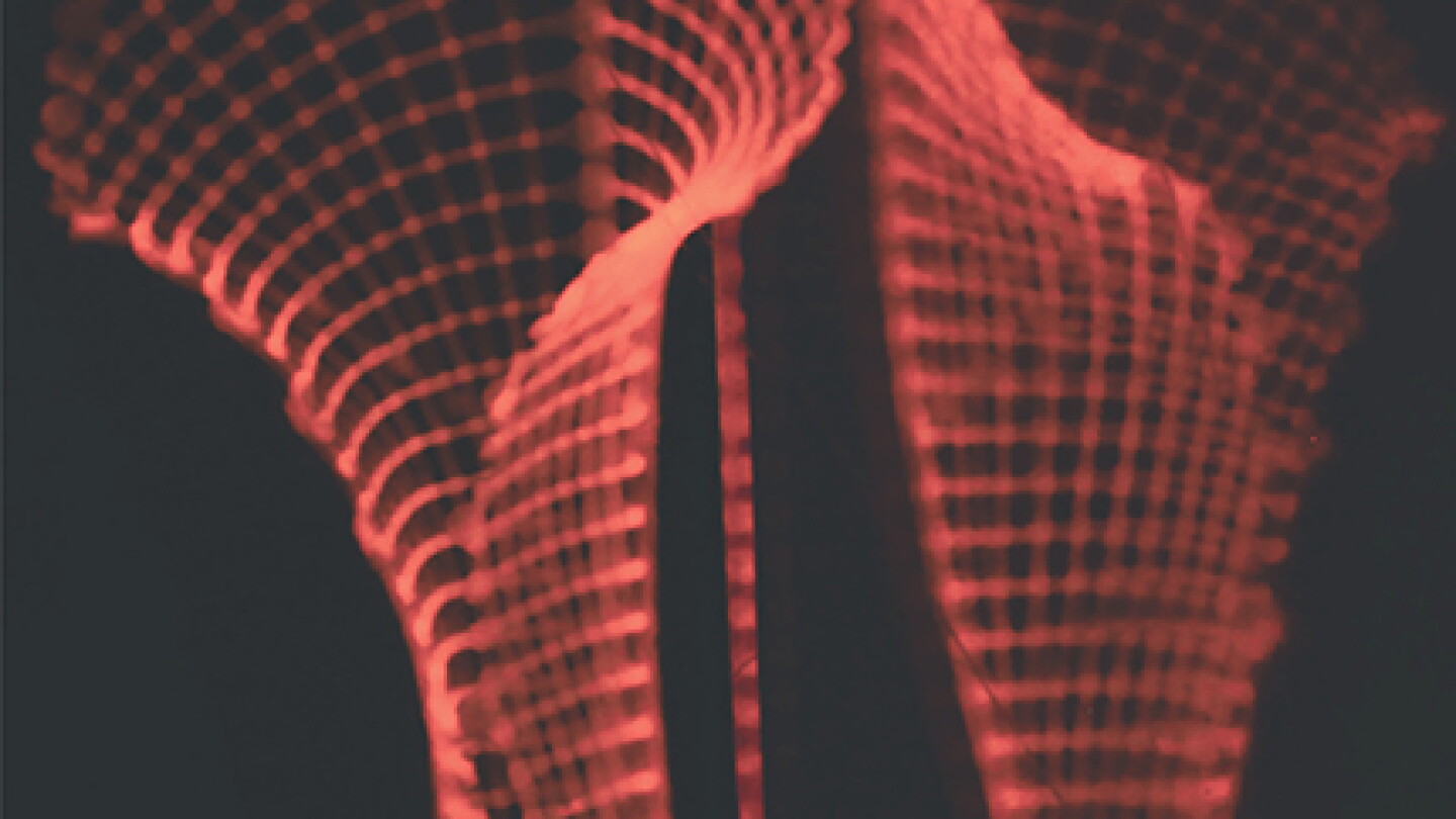 Printed shape-shifting materials mimic biological structures - Physics ...