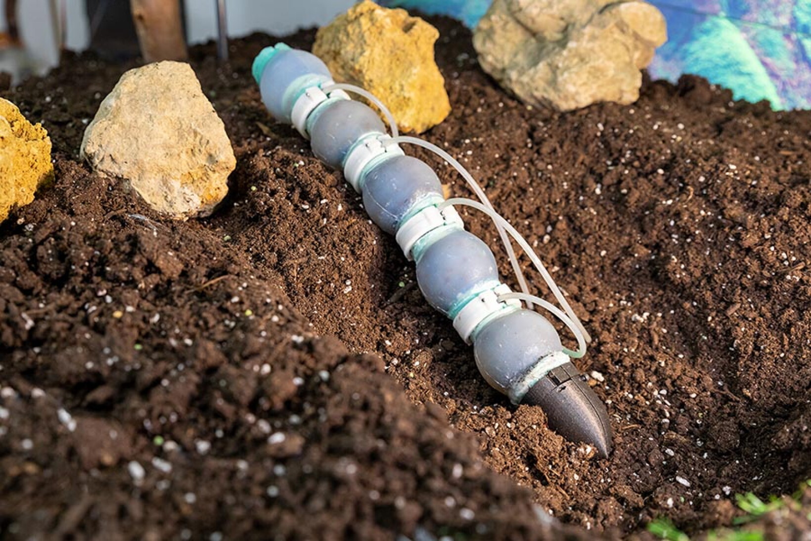 Roboticists build a better earthworm - Physics Today