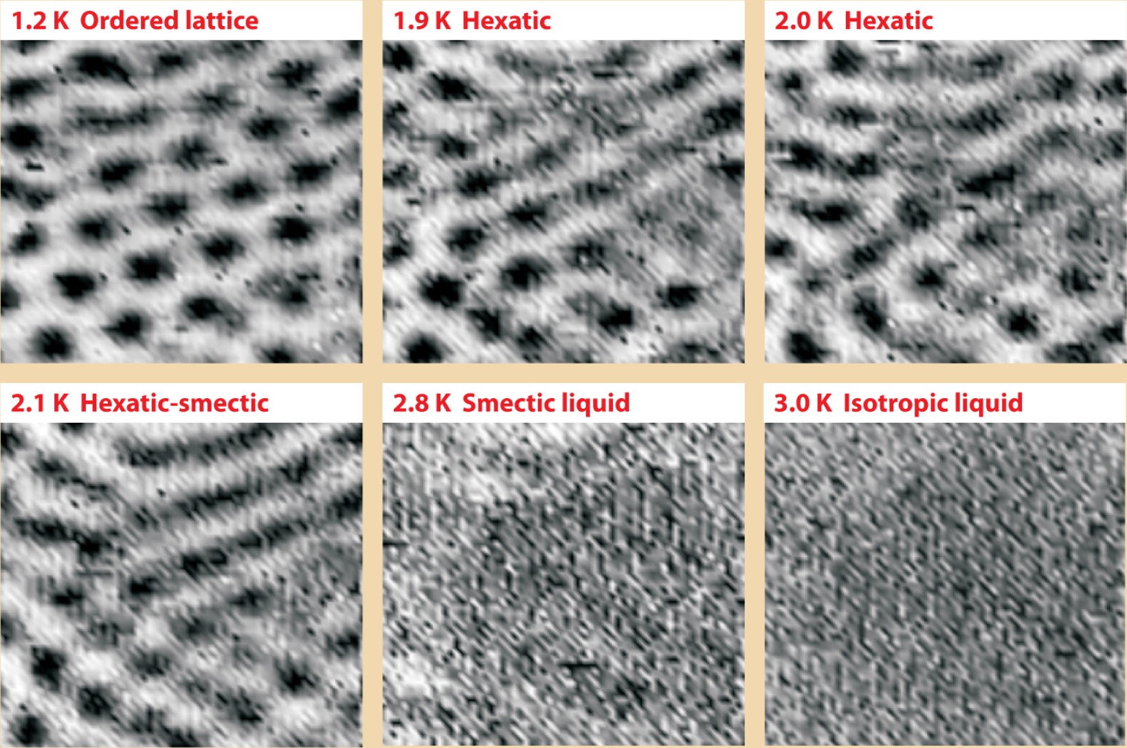 Tunneling microscope maps the melting transition of a two-dimensional ...