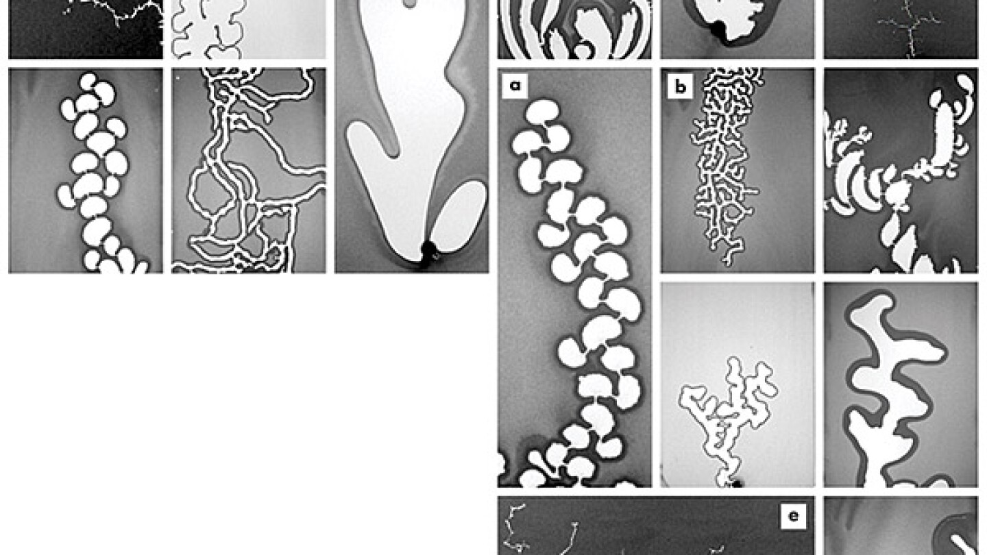 Pattern palette for complex fluid flows - Physics Today