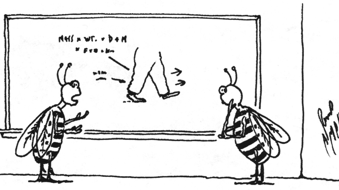 Form Follows Function - Physics Today