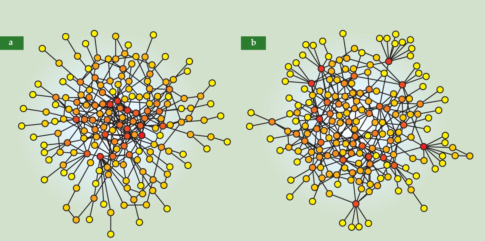 The physics of networks - Physics Today