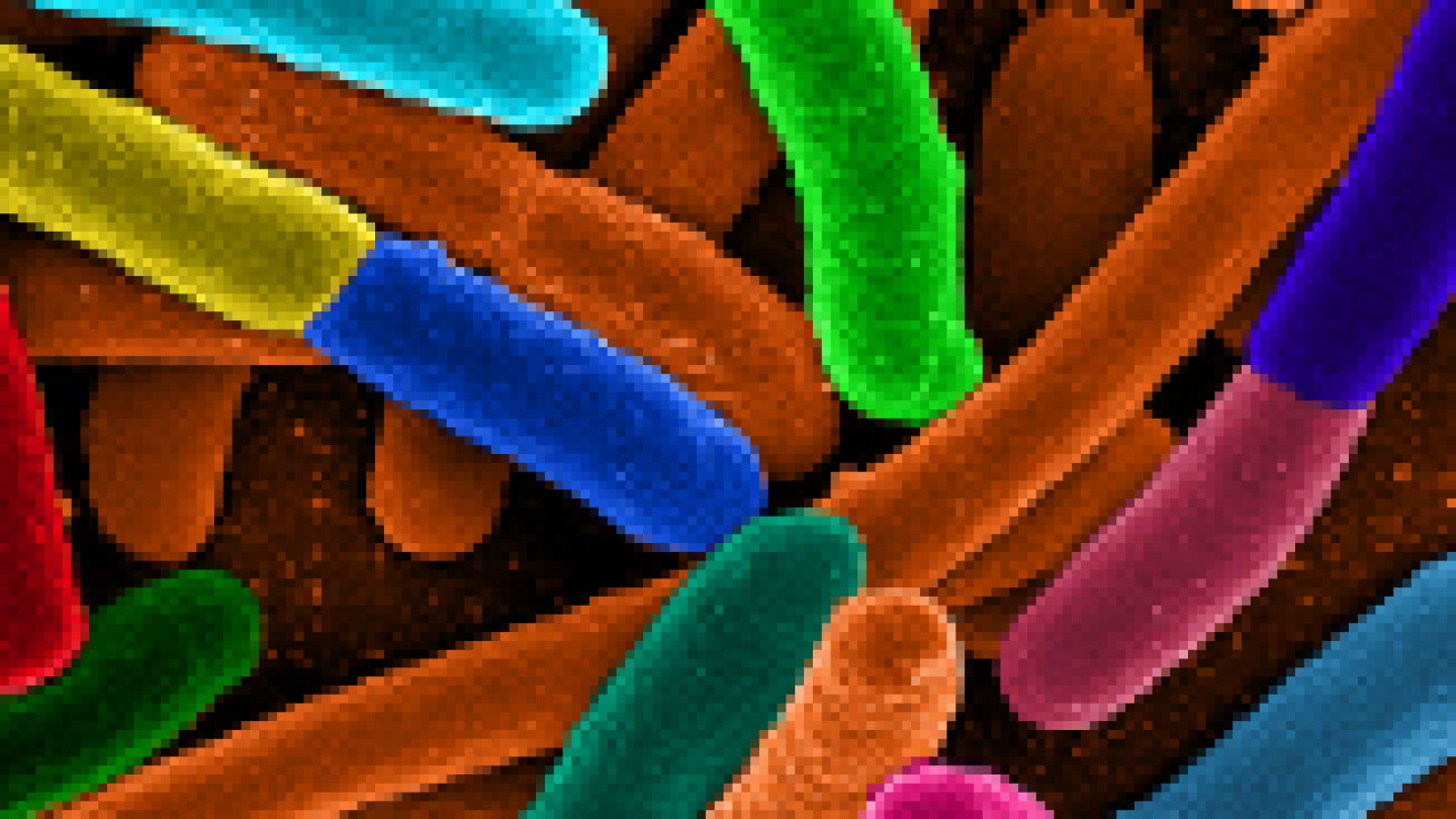 Closing the loop on a gene regulatory network - Physics Today